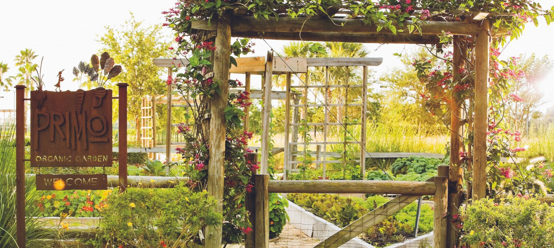 Home [www.primojw.com]